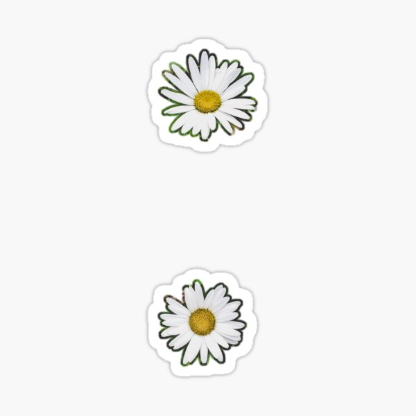 "Daisies" Sticker for Sale by LncolnsUndrwatr | Redbubble