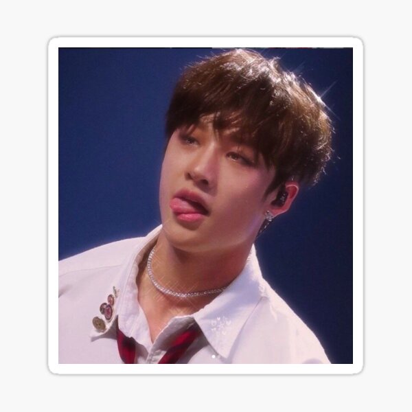 "Stray Kids- Bang Chan" Sticker for Sale by zainabsamin2003 | Redbubble