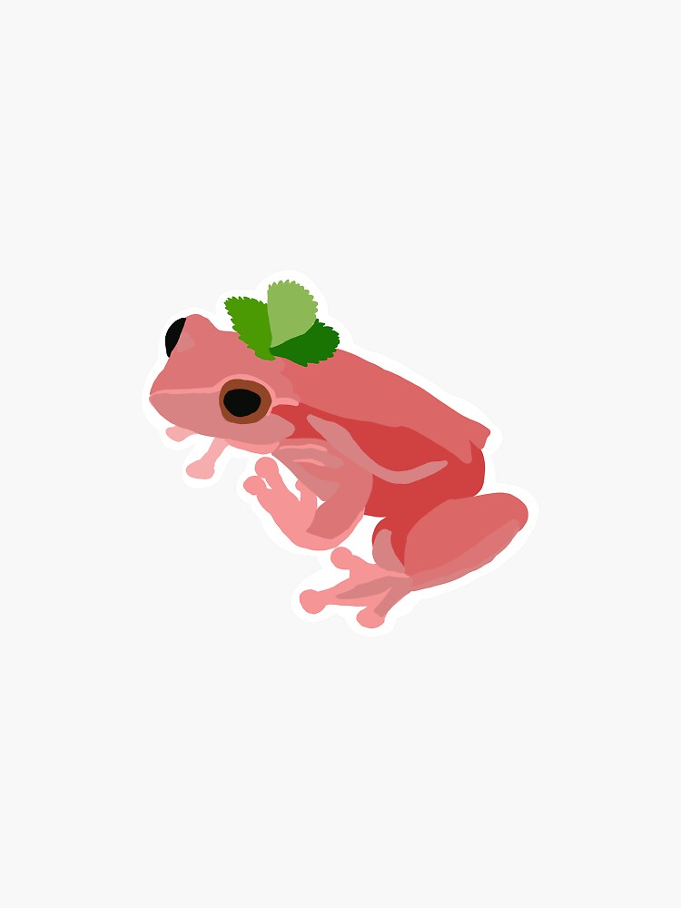 "Strawberry Frog" Sticker by NeenThePenguin | Redbubble