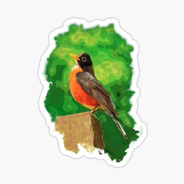 "robin" Sticker for Sale by coffeecountyjim | Redbubble