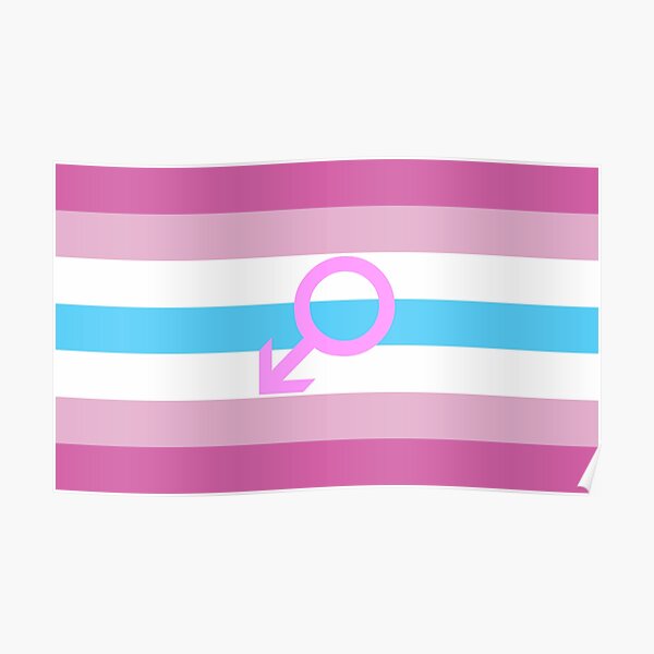 Póster «Bandera del orgullo Femboy con el símbolo de Marte» de icarus99 ...
