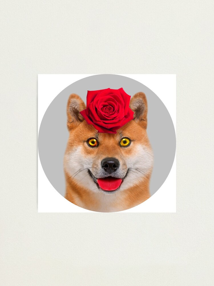 Impression photo « Shiba Inu Akita Rose Rouge Chien Art Surréaliste ...