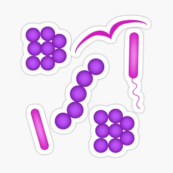 "Gram Stain Pattern" Sticker for Sale by KeeganCreations | Redbubble