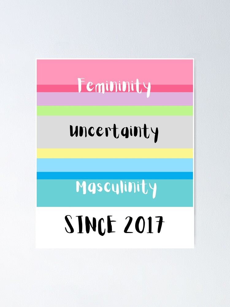 "Gender Questioning Pride Flag Meaning" Poster for Sale by ...