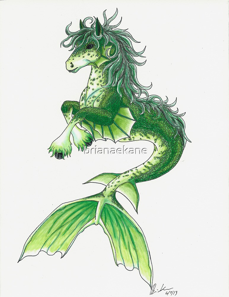 "Kelpie Mystical Sea Monster" by brianaekane | Redbubble