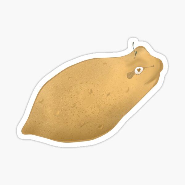 "POTATO + TOAD = POTATOAD" Sticker for Sale by sweet-croissant | Redbubble