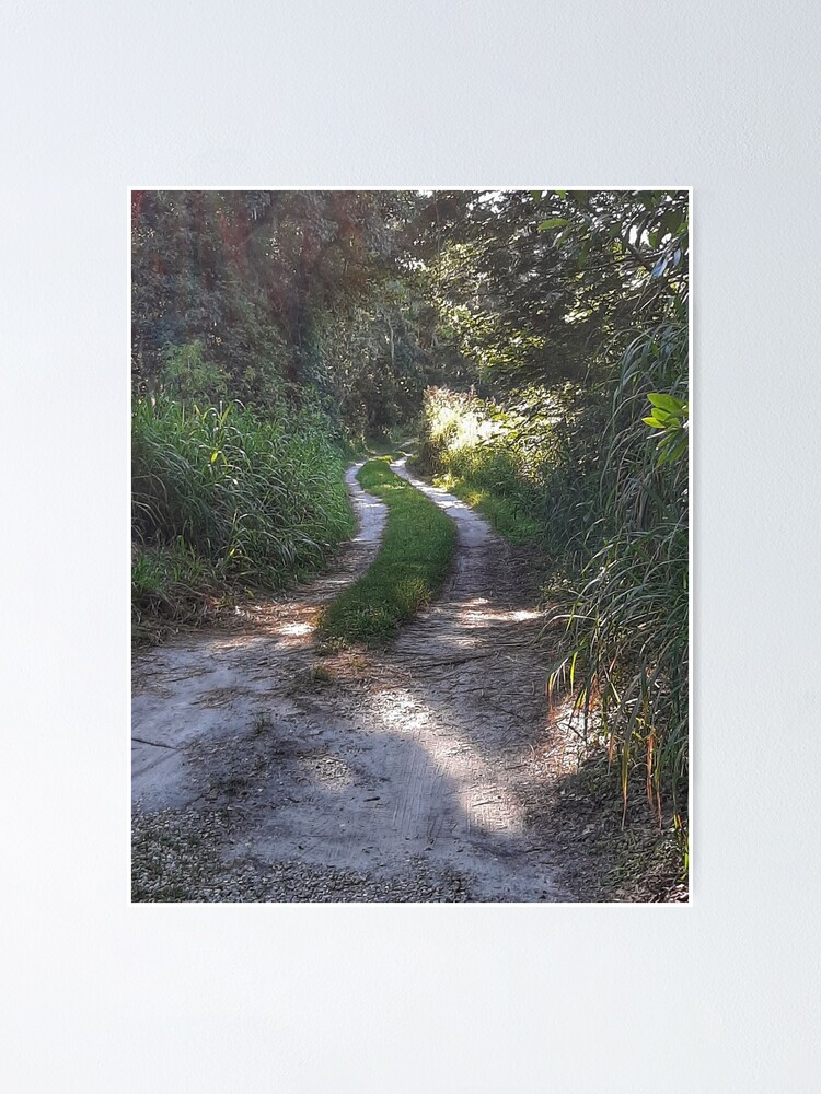 "Hidden Pathways " Poster by lizzyphotograph | Redbubble