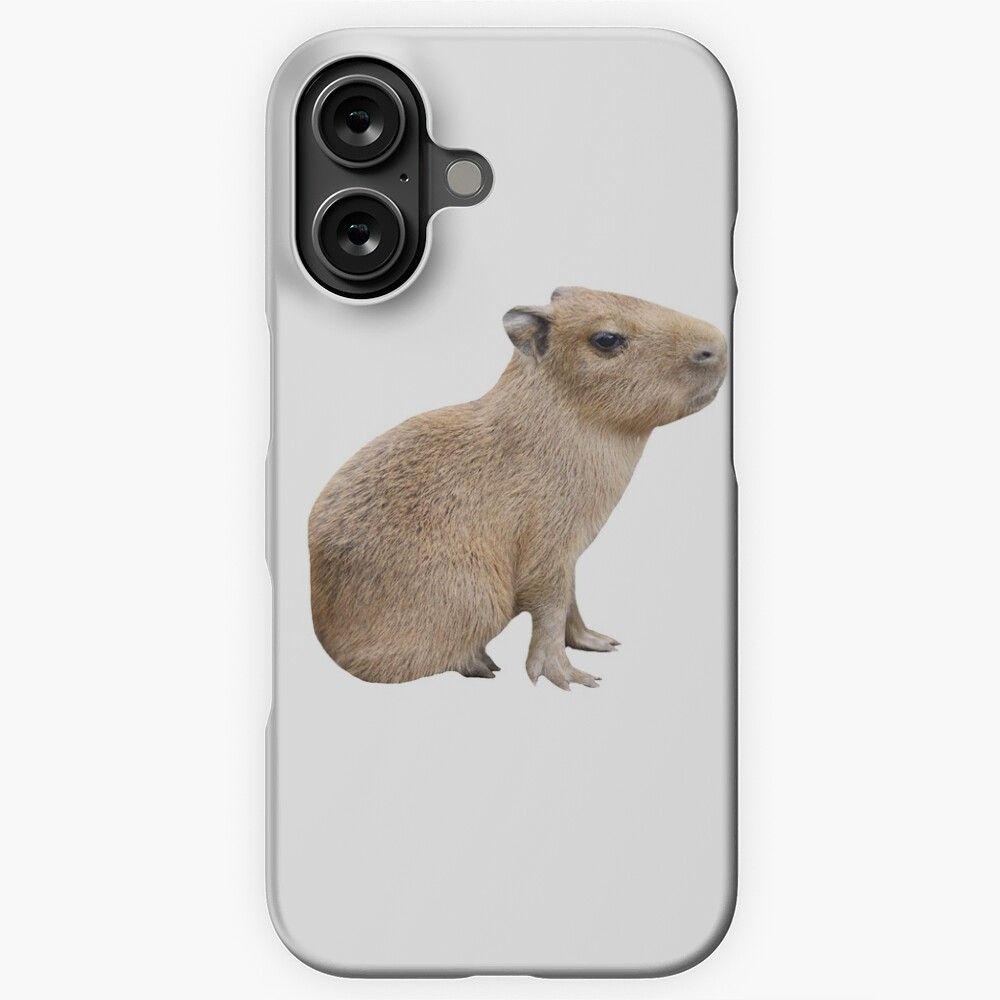 "Capybara Baby" Sticker for Sale by CapyBoii | Redbubble