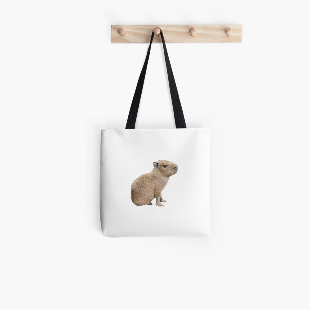"Capybara Baby" Sticker for Sale by CapyBoii | Redbubble