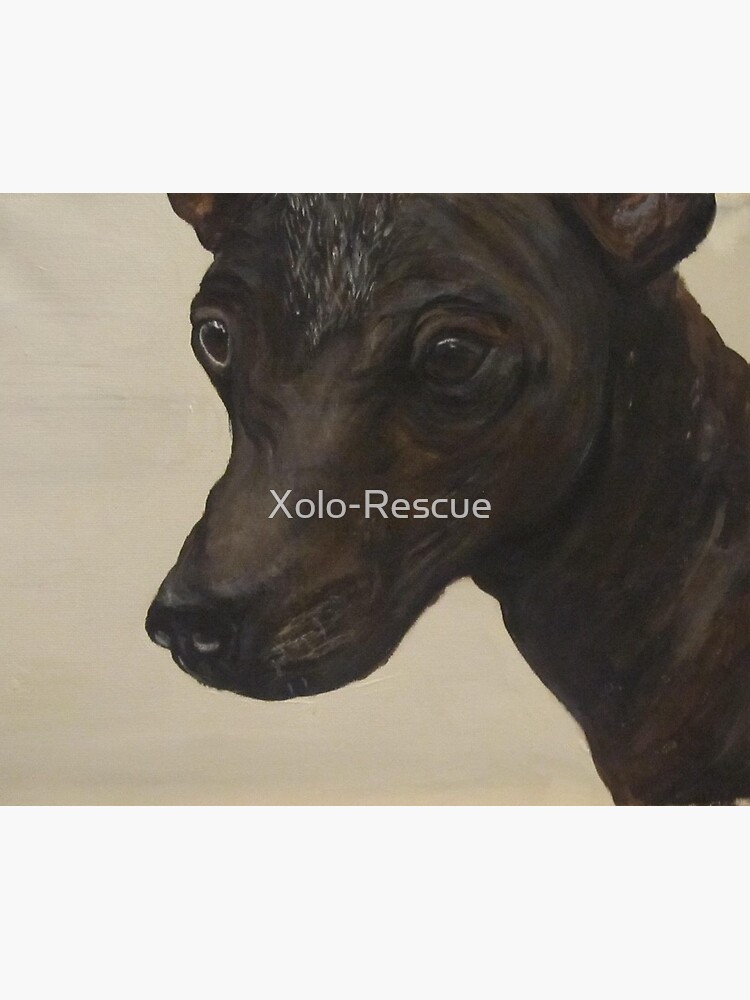 "Xoloitzcuintle drawing " Sticker for Sale by Xolo-Rescue | Redbubble