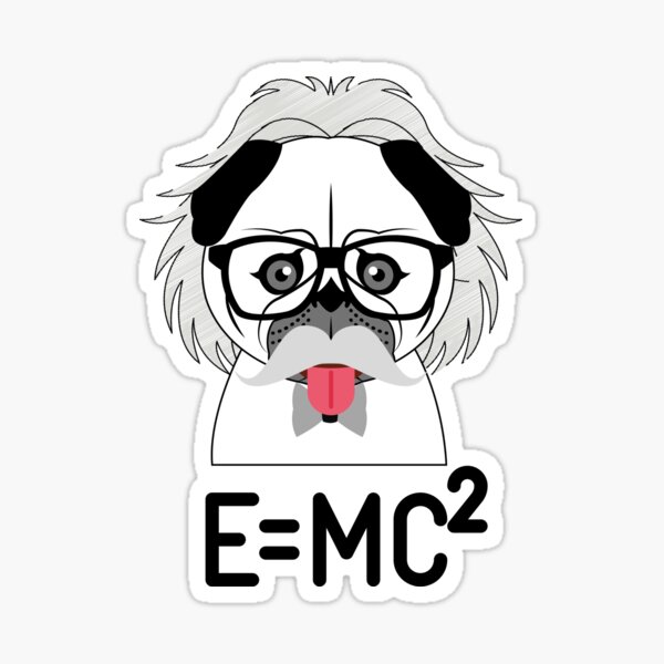 "Funny Pug Physics Science Einstein" Sticker for Sale by ...