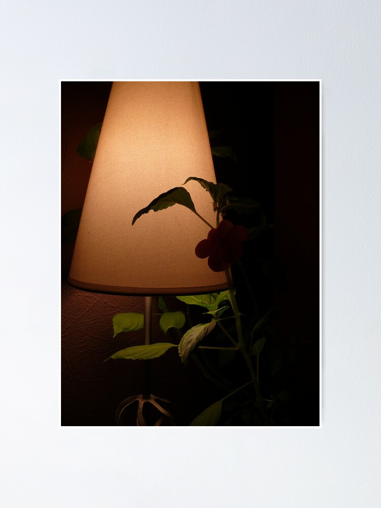 "Plant in table lamp" Poster by TheAgency | Redbubble