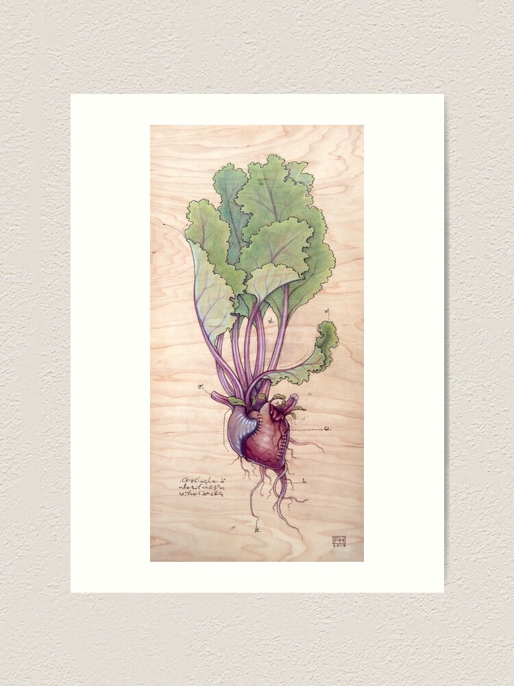 "Heart Beet" Art Print for Sale by FayHelfer | Redbubble