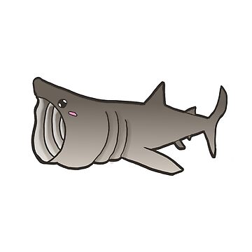 "Cute Basking Shark" Sticker for Sale by BlackberryArt | Redbubble