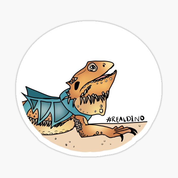 Cartoon Bearded Dragon Stickers | Redbubble