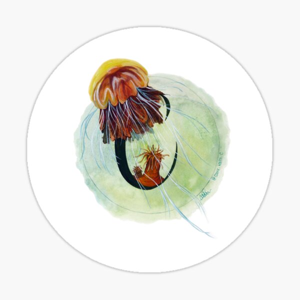 Cnidaria Gifts & Merchandise | Redbubble