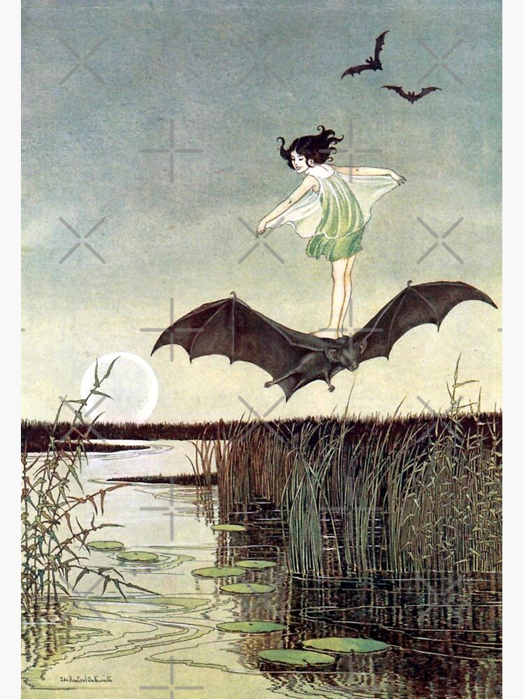 "Fairy Girl Riding a Bat - Ida Rentoul Outhwaite" Art Print for Sale by ...