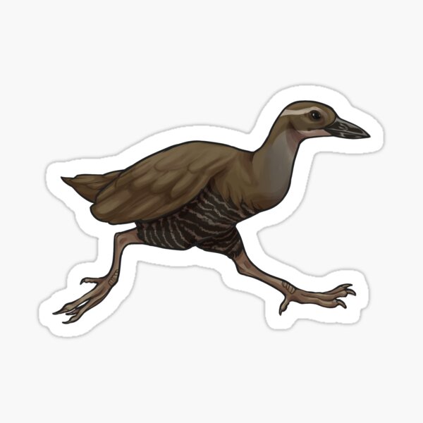 "Ko'Ko'/Guam Rail " Sticker for Sale by HeckinLuArt | Redbubble
