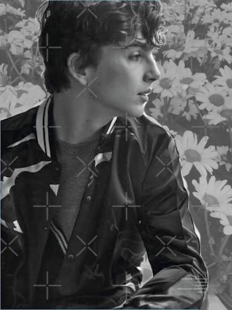 "Elio Perlman" Sticker for Sale by camilagoyena | Redbubble