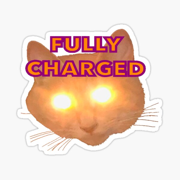 "Fully Charged" Sticker by wildjellybeans | Redbubble