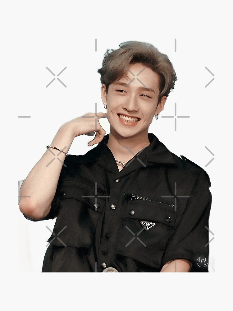 "Stray Kids Chan Sticker" Sticker for Sale by savvy810 | Redbubble