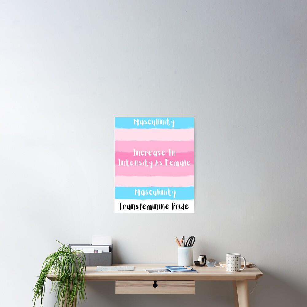 "Transfeminine Pride Flag Meaning" Poster for Sale by ZayZayDesigns ...