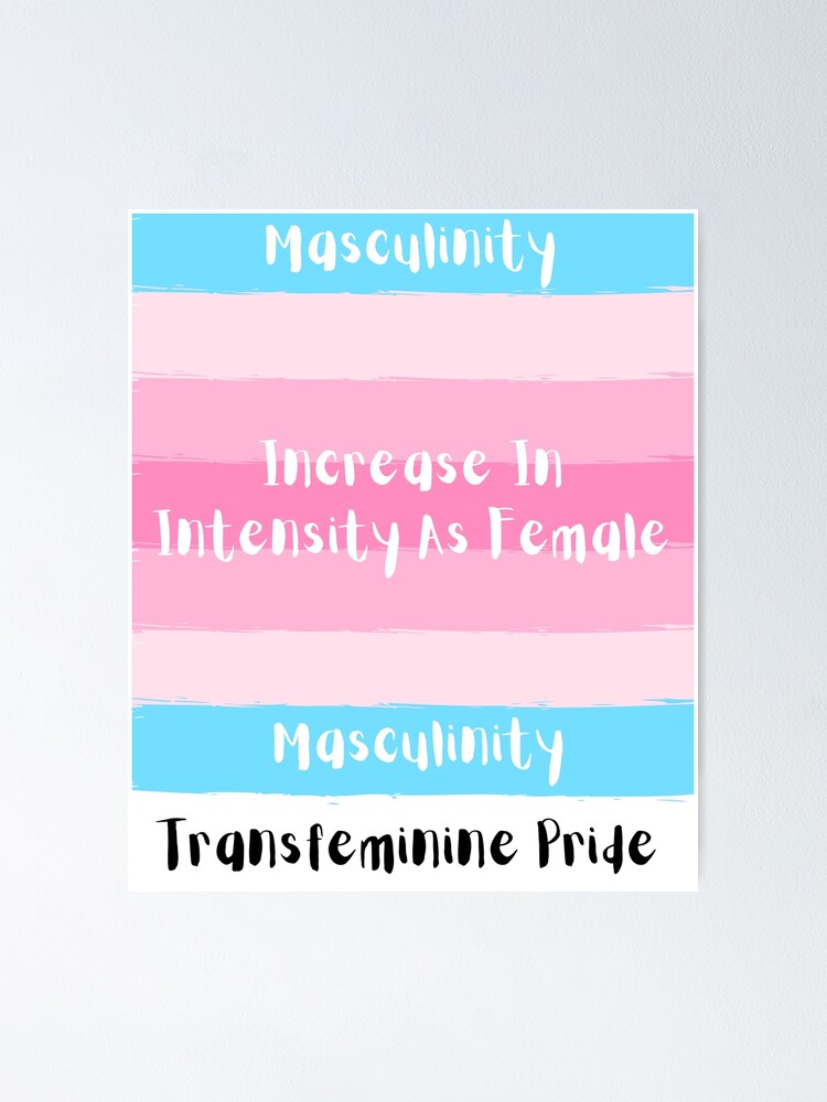 "Transfeminine Pride Flag Meaning" Poster for Sale by ZayZayDesigns ...