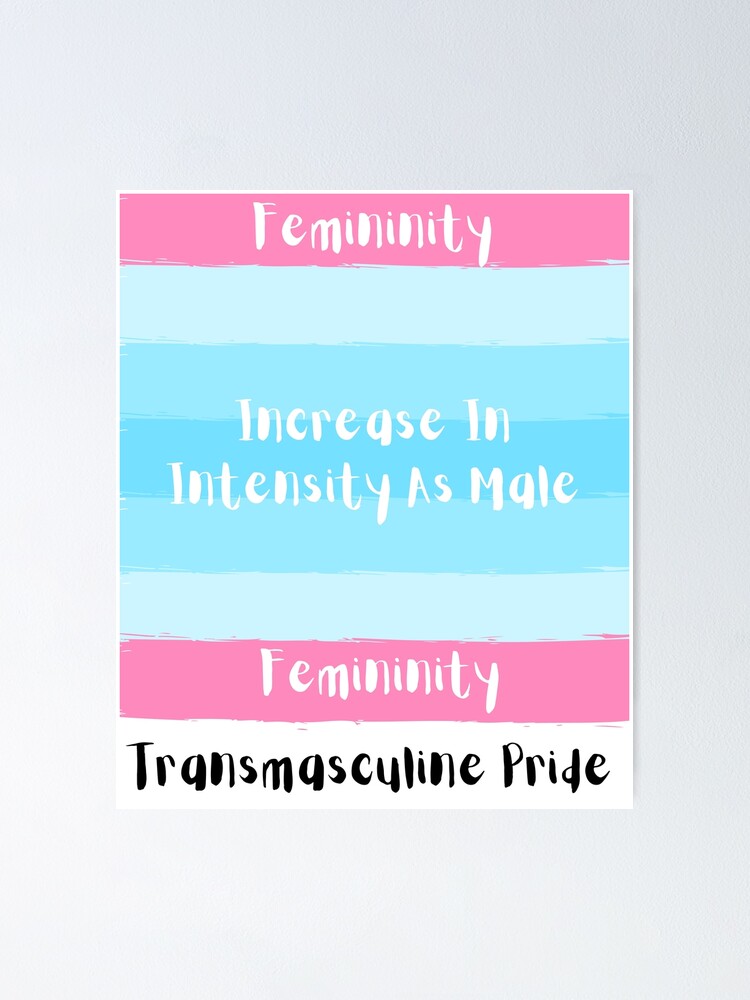 "Transmasculine Pride Flag Meaning" Poster for Sale by ZayZayDesigns ...