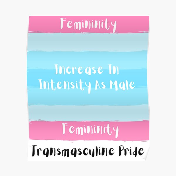 "Transmasculine Pride Flag Meaning" Poster for Sale by ZayZayDesigns ...