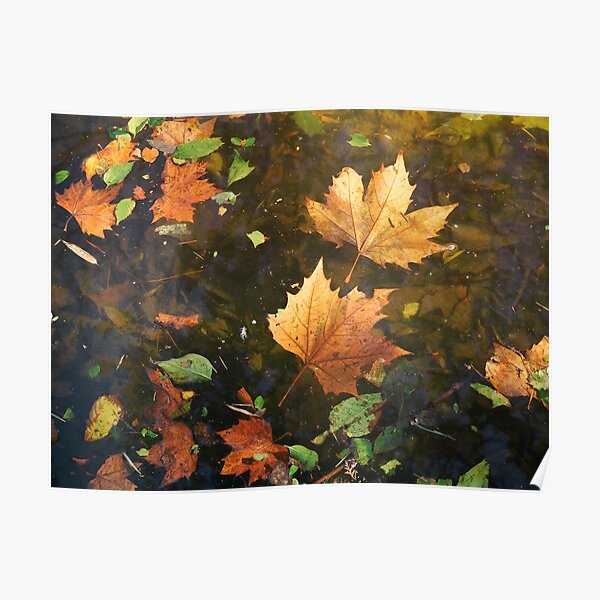 "Golden fallen leaves" Poster for Sale by joesposito | Redbubble