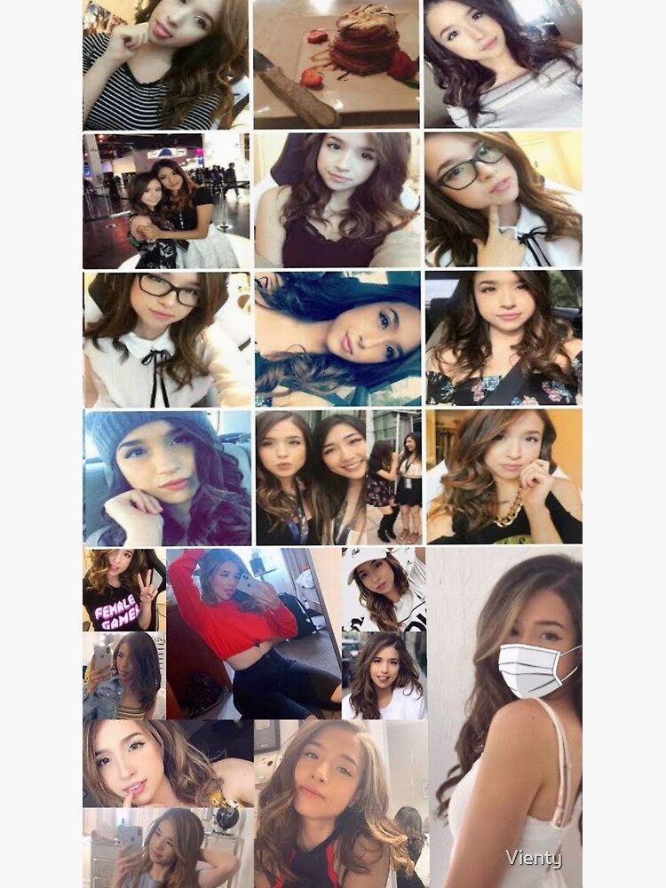 "Pokimane Collage" Sticker by Vienty | Redbubble