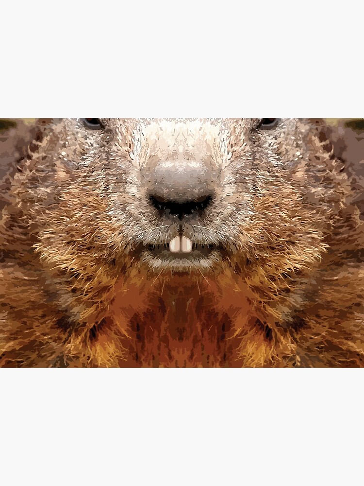"Beaver Face" Mask for Sale by JasperBenoit | Redbubble