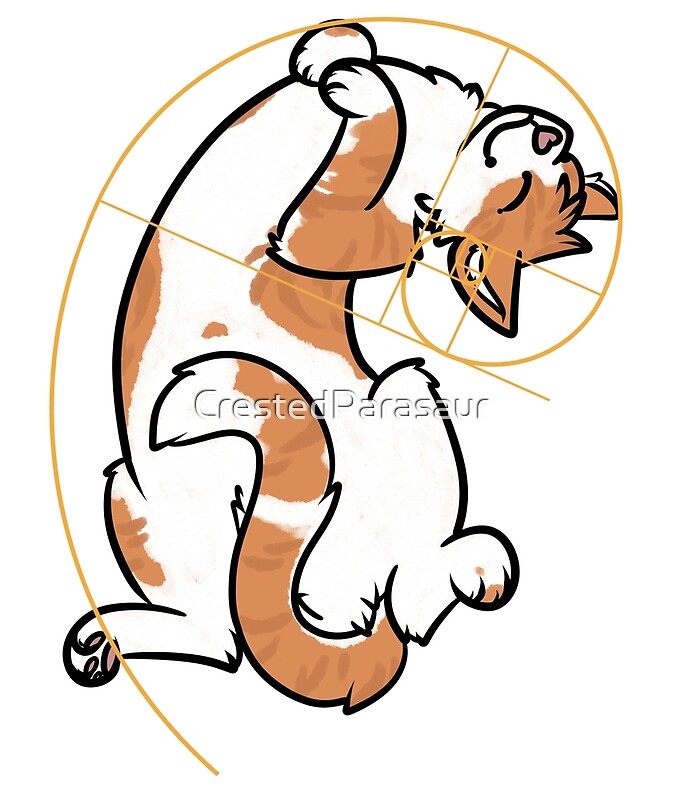 "Fibonacci Cat - The Golden Ratio" by CrestedParasaur | Redbubble