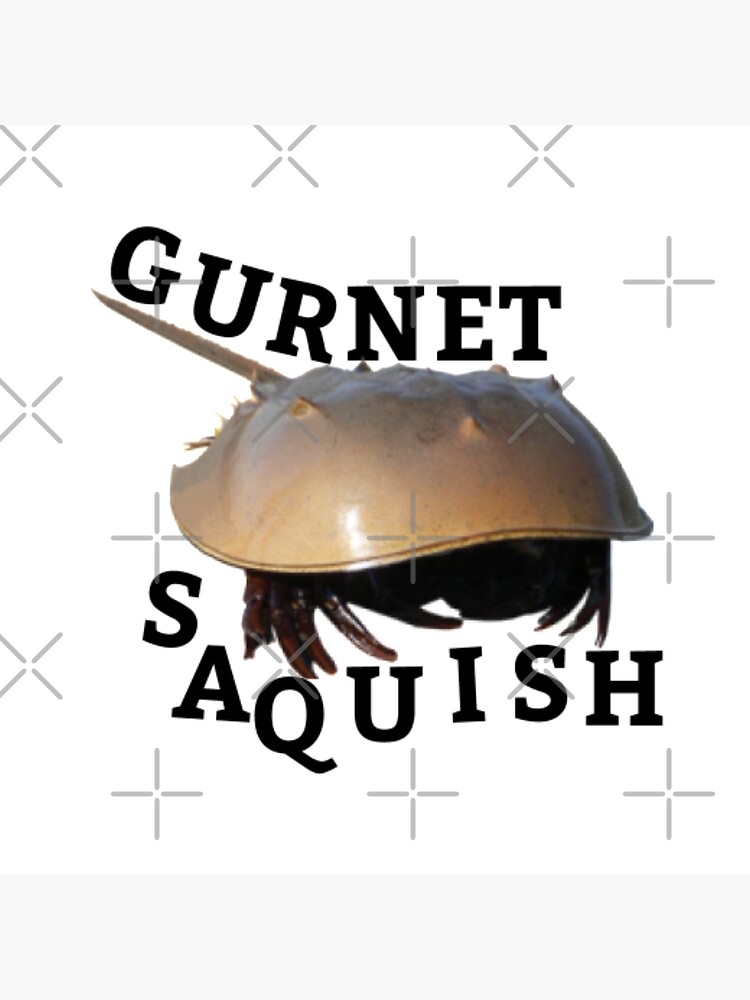 "Gurnet-Saquish Horseshoe Crab" Art Board Print for Sale by Ka1830 ...