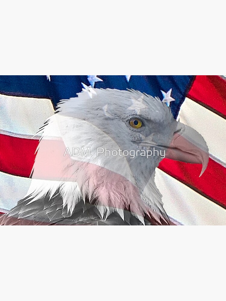 "Bald Eagle with U.S. Flag" Poster by Dai-Boo | Redbubble