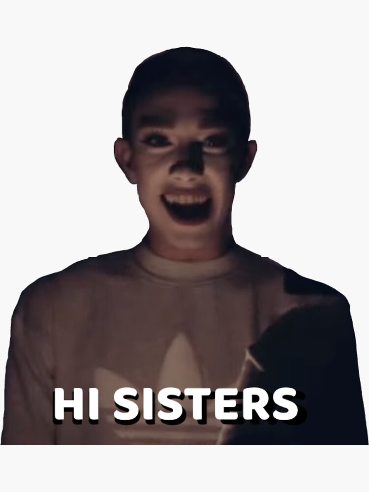 "Hi Sisters James Charles" Sticker for Sale by coffeentequila | Redbubble