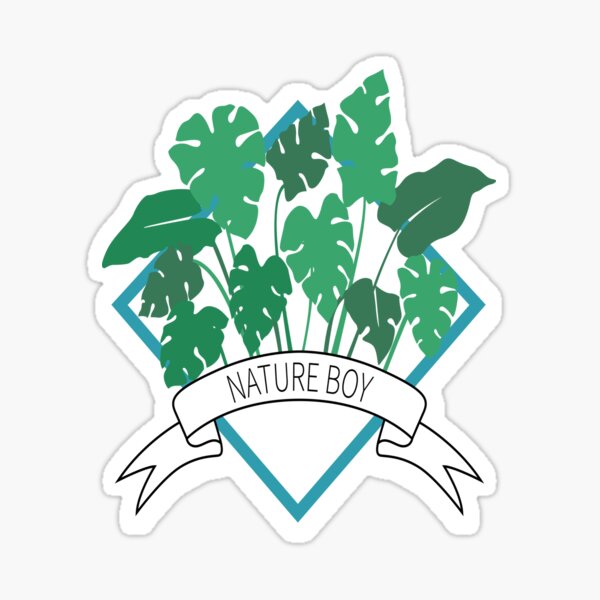 "Nature boy Vegan Enviromentalist Nature Lover" Sticker for Sale by ...
