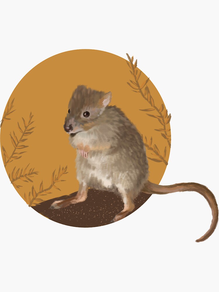 "Woylie" Sticker for Sale by Oniomsra | Redbubble