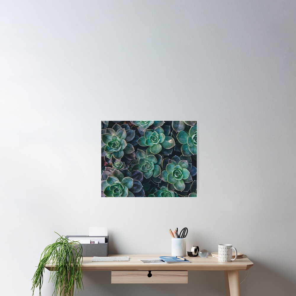 "Succulents" Poster by SarahsScribbles | Redbubble