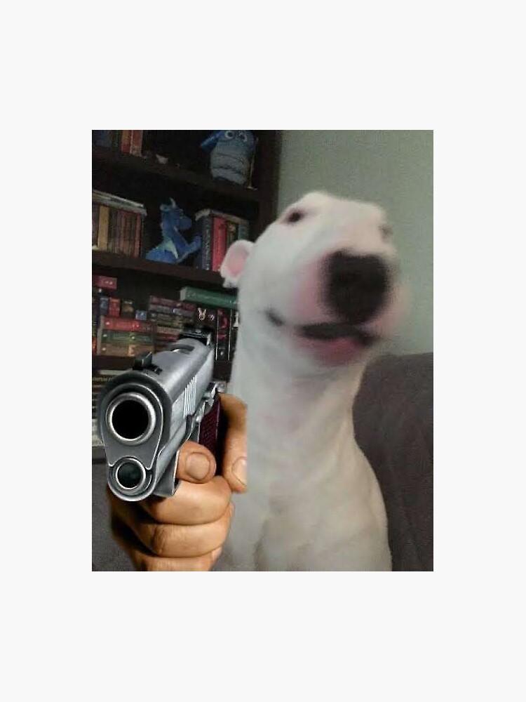 "walter with gun meme " Sticker for Sale by davsshop | Redbubble