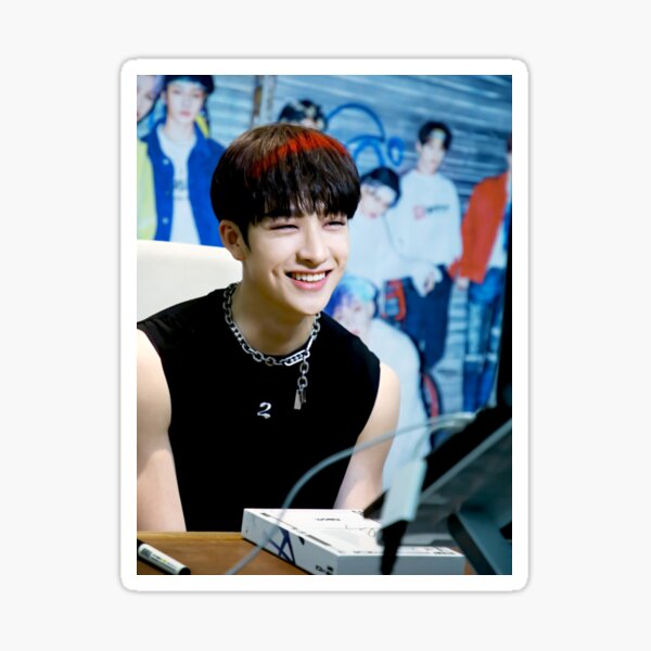 "Stray Kids Chan Cute" Sticker for Sale by savvy810 | Redbubble