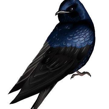 "Purple Martin" Sticker for Sale by Calluna-Artis | Redbubble