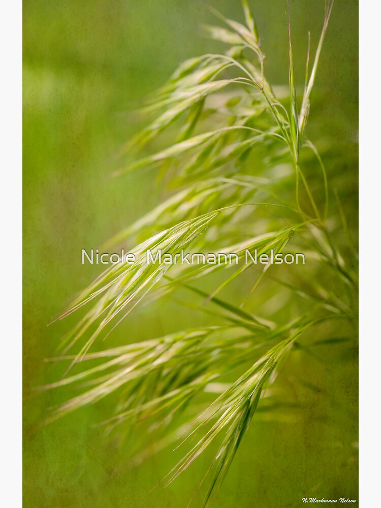"Wispy Grass" Poster by SimplyKlick | Redbubble