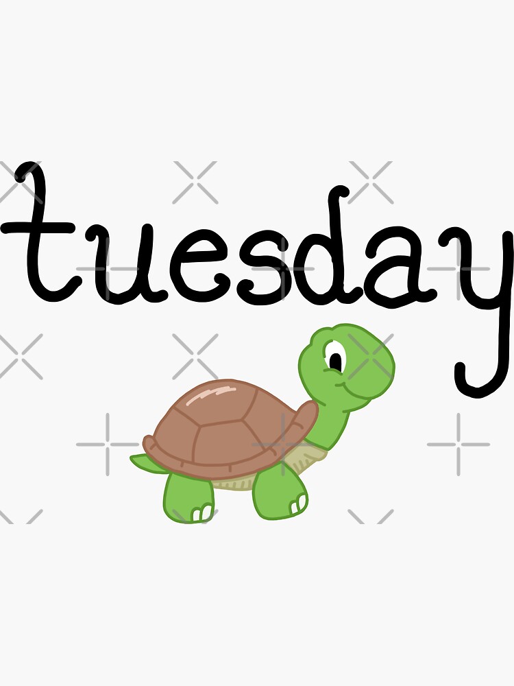 "Tuesday Turtle" Sticker for Sale by sarabee13 | Redbubble