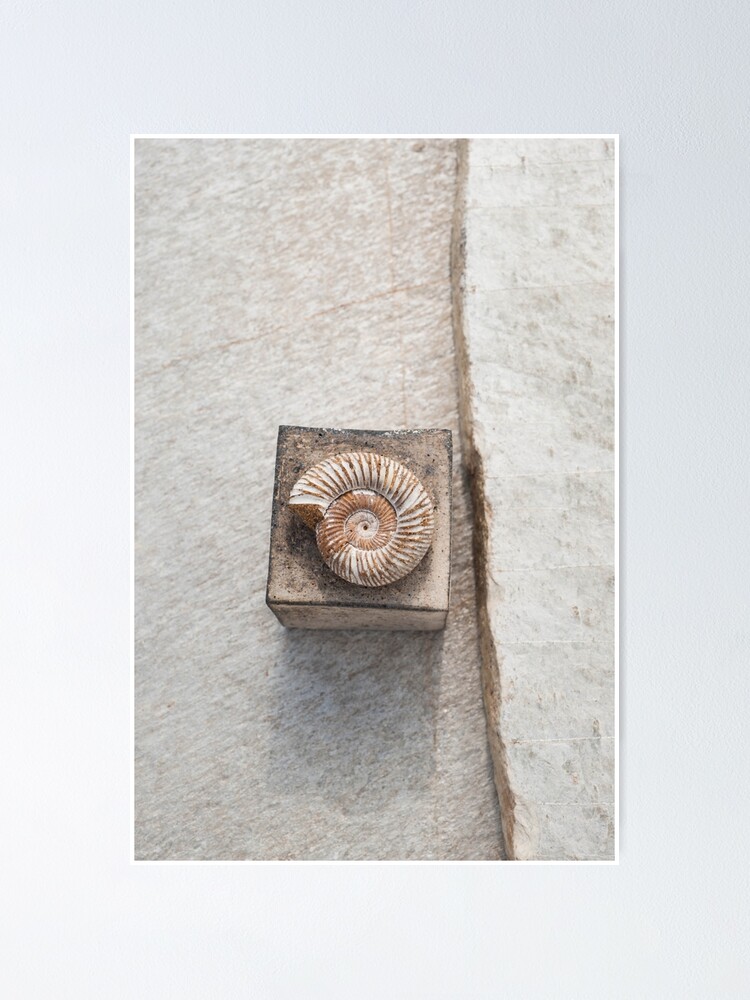 "Square And Fossil " Poster by ElenaRay | Redbubble