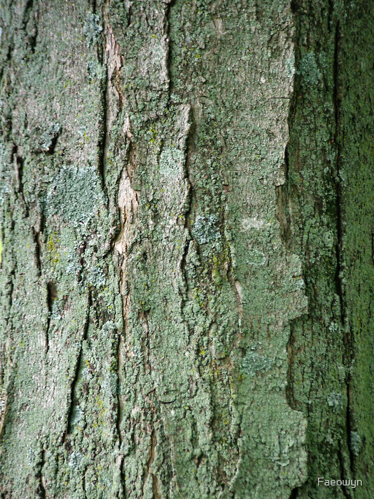 Sugar Maple Tree Bark IPhone Case For Sale By Faeowyn Redbubble sugar-maple-tree-bark-iphone-case-for-sale-by-faeowyn-redbubble