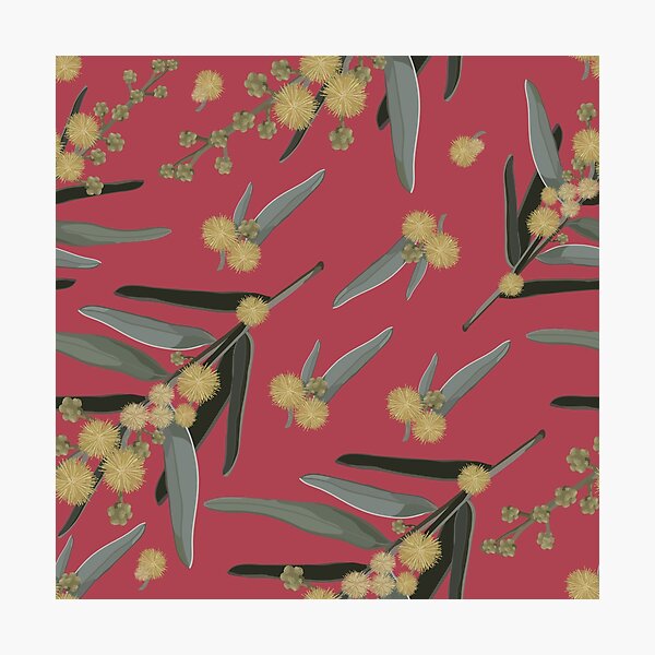"Wattle Pattern - Vintage Colour Palette" Photographic Print for Sale ...