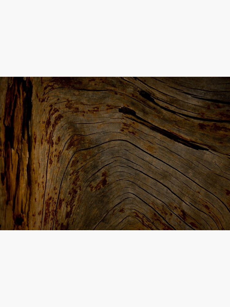 "Washed out tree wood pattern close up" Sticker for Sale by Nadyaphoto ...