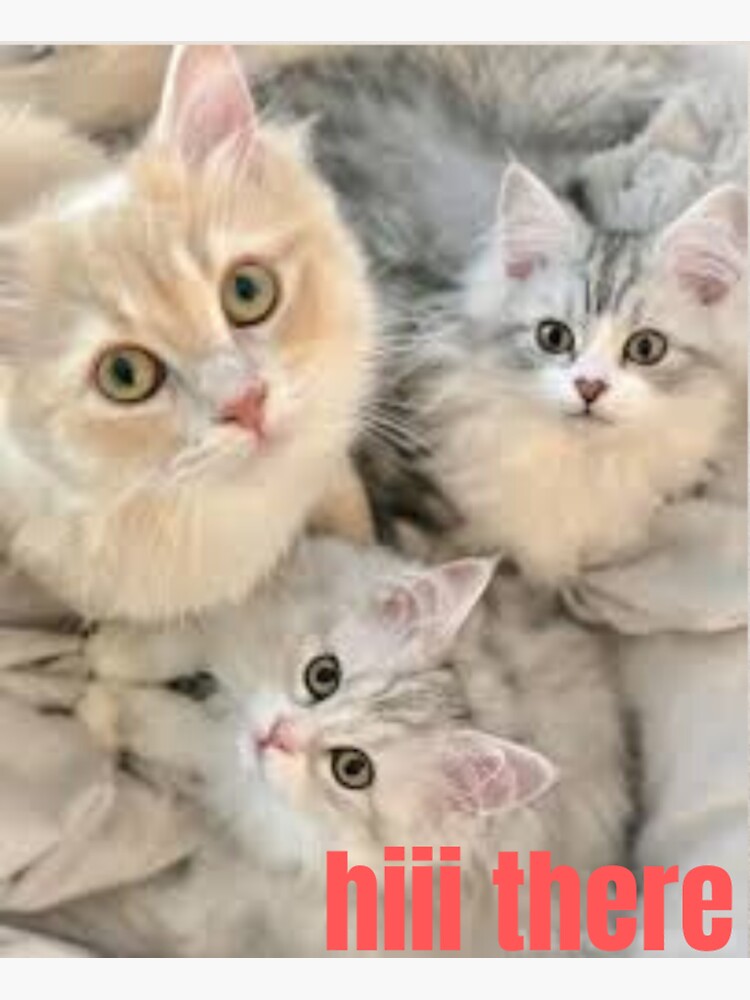 "cat - happy cat - hi there cats" Sticker for Sale by Abbas1978 | Redbubble