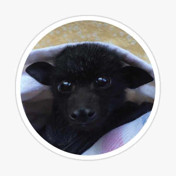 "Batzilla The Bat Funny" Sticker for Sale by zakiKhan | Redbubble